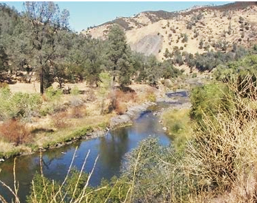 Visit the Valley – Capay Valley Lavender