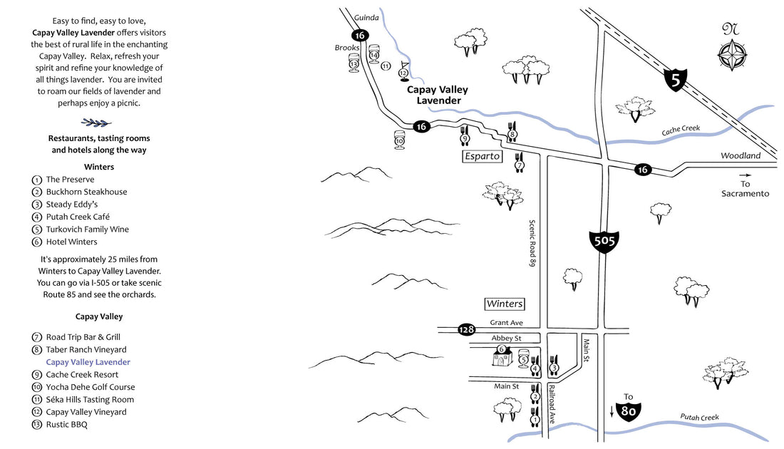 Visit the Valley – Capay Valley Lavender